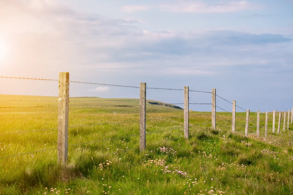 How Much Does Wire Fencing Cost? How To Estimate the Cost - L&M Fencing LLC